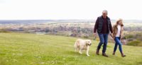 Gregory Lauro MD – Orthopedic Surgeon Specializing in Knee & Hip ...